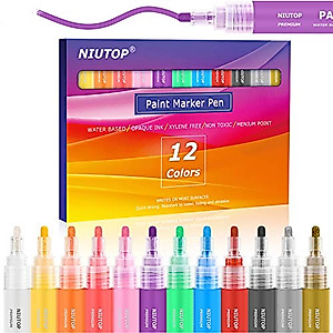 12 Colors Paint Markers, Acrylic Paint Pens for Rock Painting, Stone, Halloween Pumpkin Decorating Ornaments Paint for Kids Adults DIY Marking, Ceramic, Wood, Art Craft Painting Supplies, Medium Tip