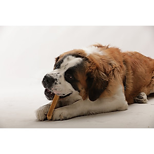 Himal Dog Treat , 100% Natural Yak Chew (Extra Large 5.5-6.5 oz) for Dog Under 70 Lb