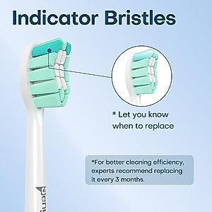 Senyum Replacement Toothbrush Heads Compatible with Phillips Sonicare Replacement Brush Head, Electric Toothbrush Heads Refill for Sonic Care Snap-On, White (8 Pack)