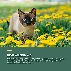 NaturVet Hemp Allergy Aid Plus Hemp Seed Soft Chews for Cats, 60 ct, Made in The USA