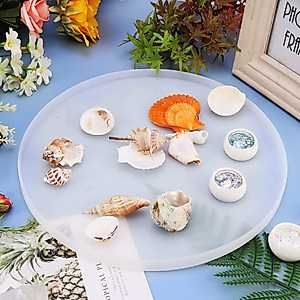 Resin Tray Molds, Round Rolling Tray Molds, Silicone Tray Molds, 11.8 Inch Rolling Tray Molds for Epoxy Resin, Resin Casting, DIY Jewelry Holder, Home Decor