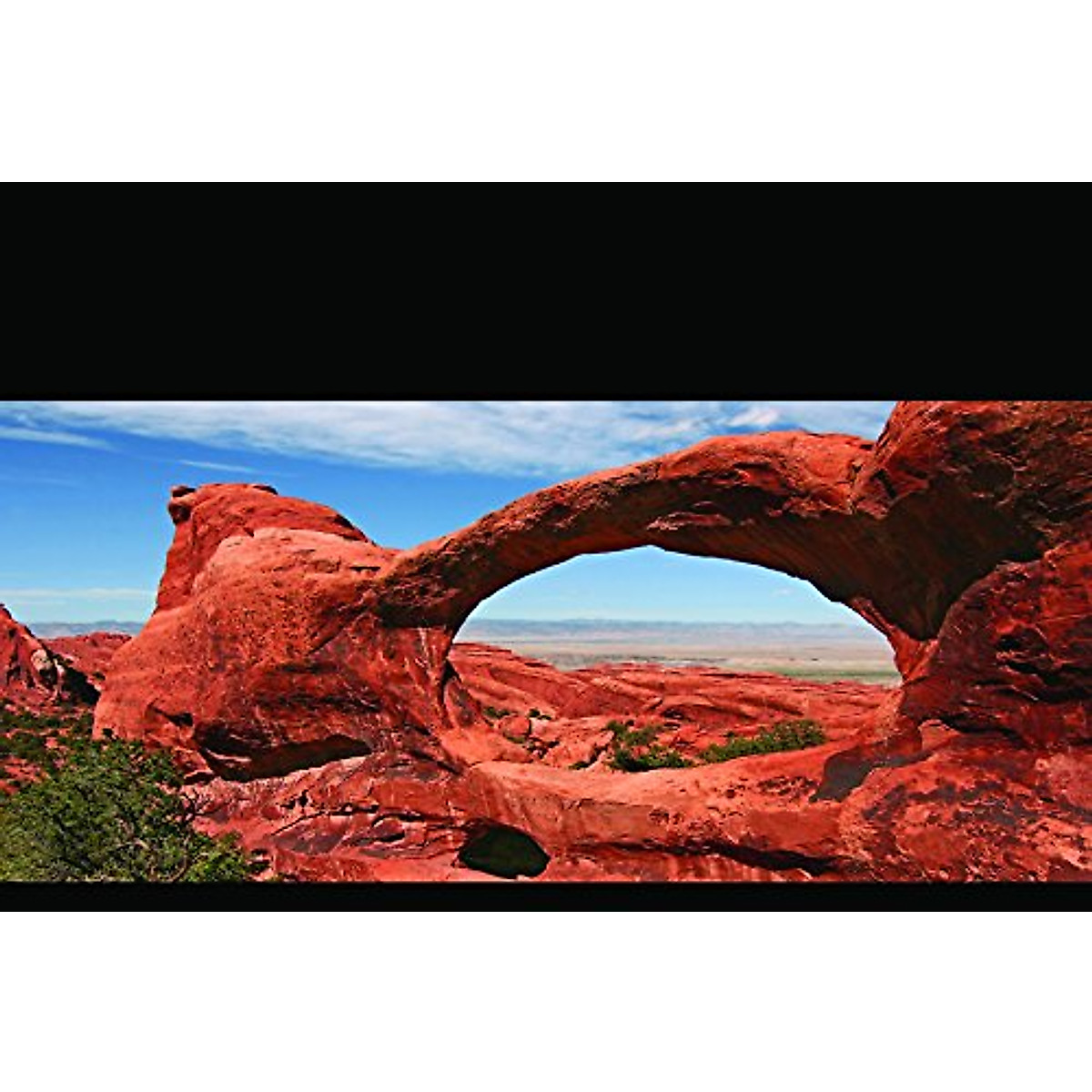 Carolina Custom Cages Reptile Habitat Background, Big Arch, 15.75" x 36"