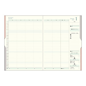 Midori 22266006 Double Schedule Planner, 2024, B6, Monthly Money, Pink (Starts October 2023) (teal)