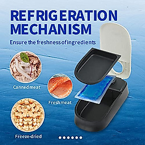 PAWISE Automatic Pet Feeder, Auto Dog Dry Food Dispenser with Timer for Cats and Dogs, Dog Automatic Feeder with Ice Pack (1 Meal)