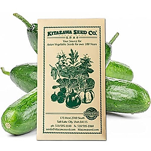 Cucumber Seeds - Tsuyataro - Hybrid -500 Mg Packet ~20 Seeds - Non-GMO, F1 Hybrid - Asian Garden Vegetable