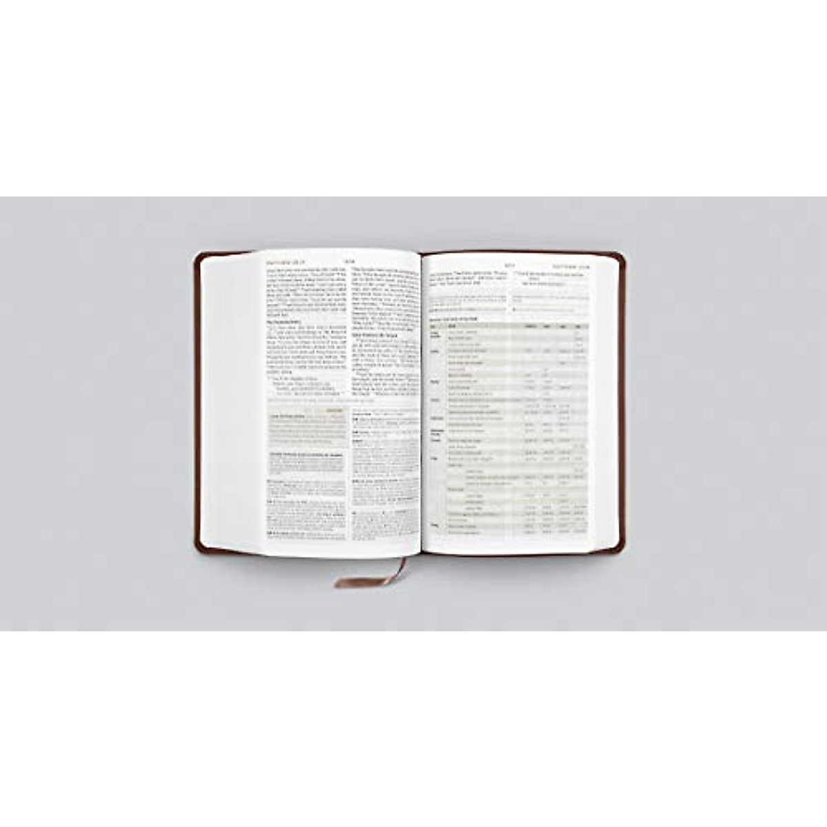 ESV Student Study Bible (TruTone, Chestnut)