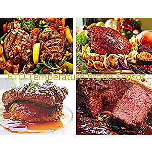 Entsong RTD Temperature Probe Sensor Grill, Replacement Parts for Traeger Digital Thermostat, Temperature Probe Compatible with Traeger Wood Pellet Grill