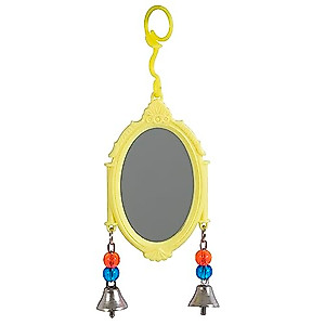 JW Pet Company Activitoy Fancy Mirror Small Bird Toy, Colors Vary
