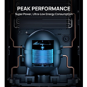 5,500 Sq. Ft Dehumidifier for Basement, VEAGASO 80 Pints Dehumidifiers for Home, Large Room, Bedroom with Drain Hose, Intelligent Humidity Control, Auto Shut Off, Auto Defrost, 1.37 Gal Water Tank