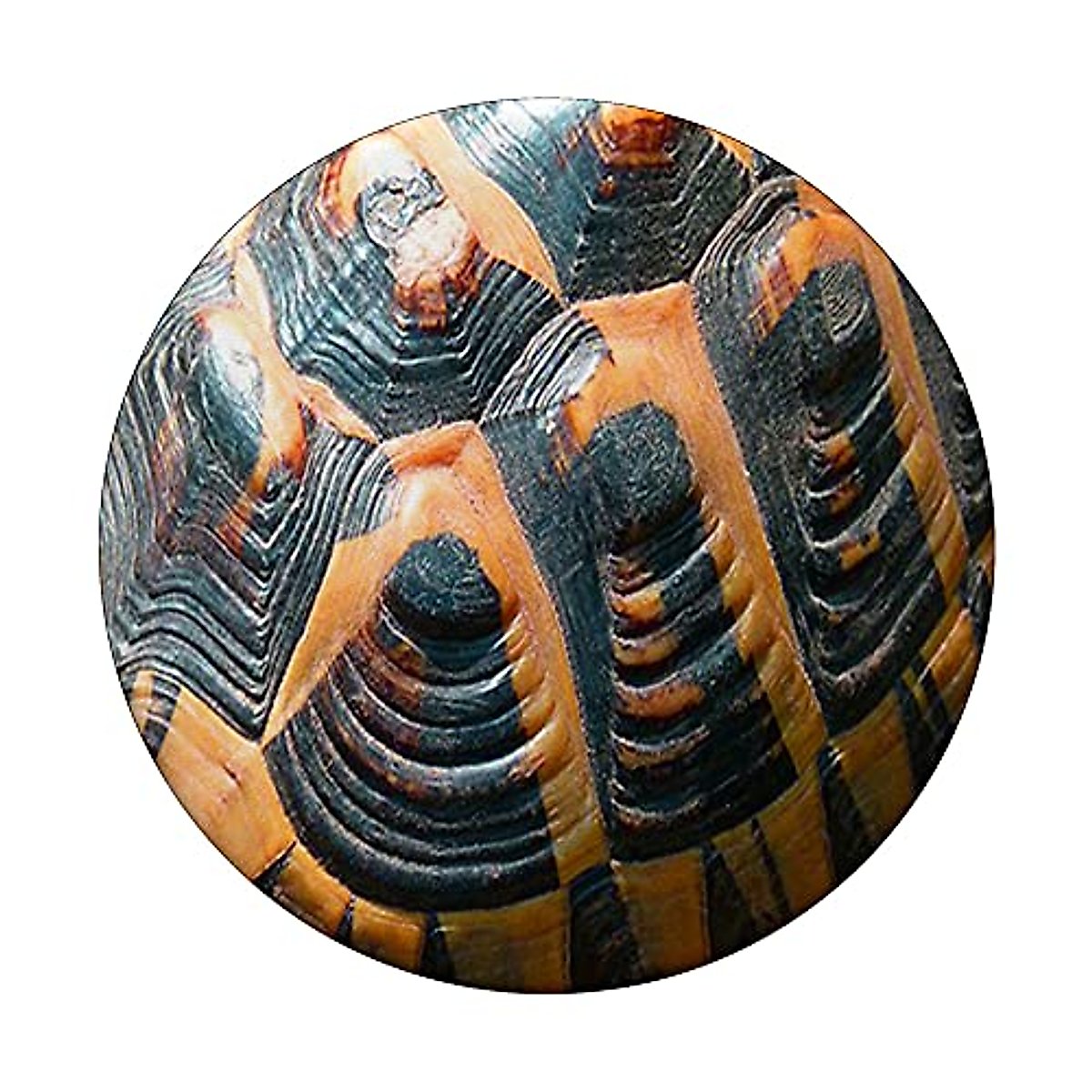 Reptiles Design Image Patterns Turtles PopSockets Swappable PopGrip
