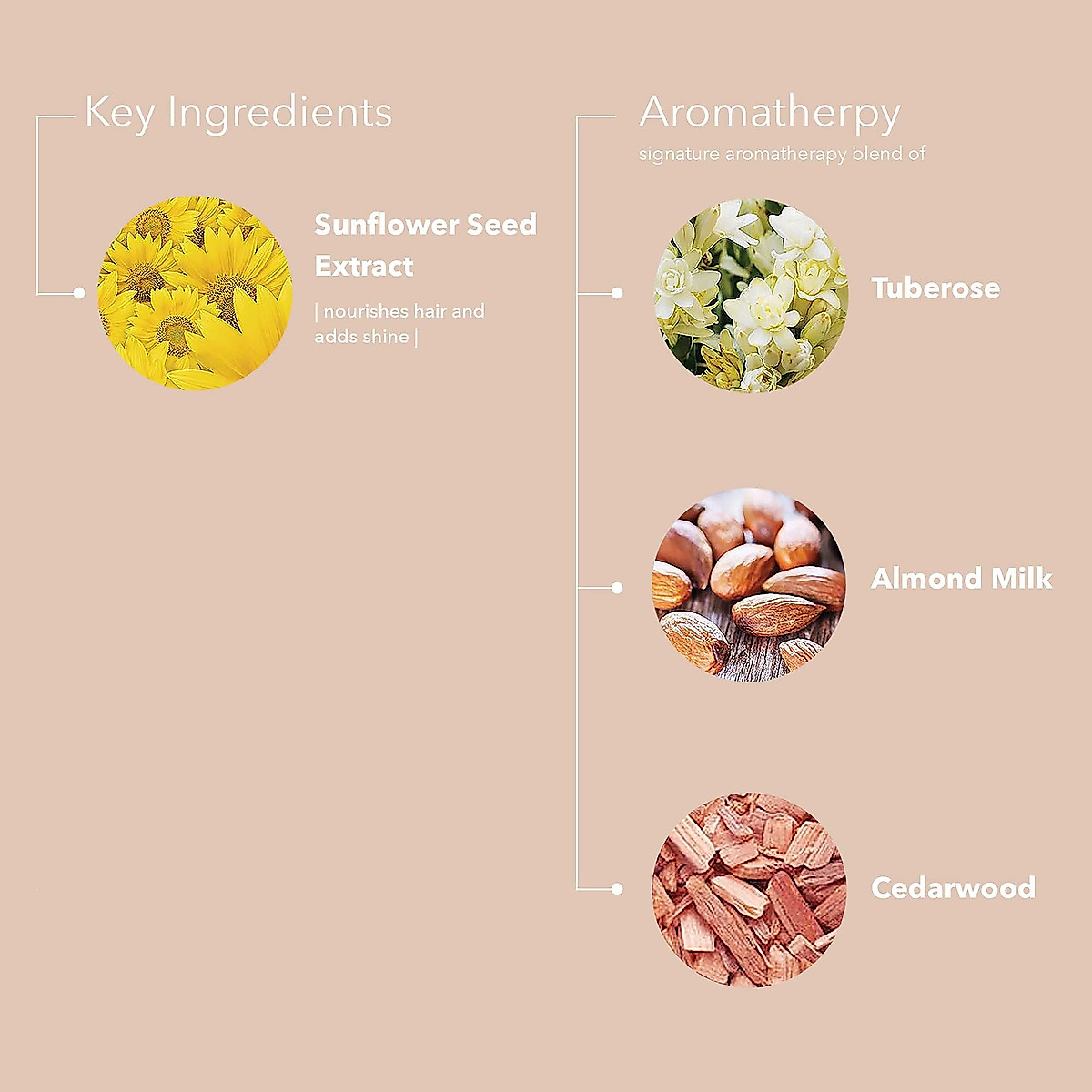 Pureology Style + Protect Texture Finishing Spray | For Color-Treated Hair | Lightweight Texturizing Spray | Sulfate-Free | Vegan | Updated Packaging | 5 Oz.