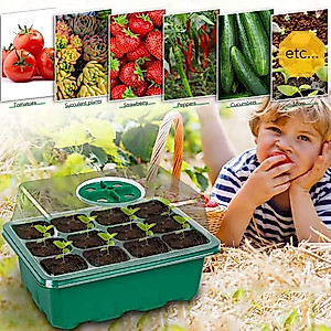 5 Pack Seed Starting Trays 12 Cells Insert Hot House Seed Starter Trays Kit for Garden Large Seedling Tray with Humidity Adjustable Dome and Base Tray Seed Greenhouse Germination Dome (5Pack_Green)