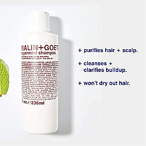 Malin + Goetz Shampoo, Peppermint, 16 Ounce