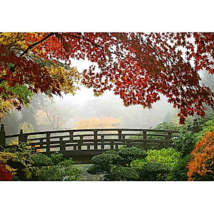 wall26 - Misty Fall Morning in Portland'S Japanese Gardens - Removable Wall Mural | Self-Adhesive Large Wallpaper - 100x144 inches