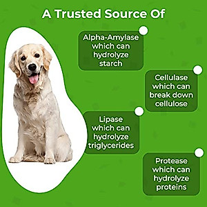 PawMedica Dog Probiotics and Digestive Enzymes, Probiotics for Dogs Made in USA, Pet Probiotic Chews for Dogs, Prebiotics & Probiotic Dog Digestive Support, Probiotic Treats - 60 Dog Probiotic Chews