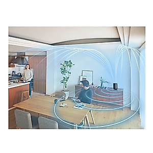 Sony SRS-RA3000 360 Reality Audio Wi-Fi / Bluetooth Wireless Speaker, Works with Alexa and Google Assistant, Black