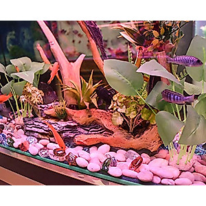 Smarlin Artificial Fish Tank Plants, Plastic Aquarium Plants, 2 Pack, 7 inches High, Realistic & Non-Toxic & Safe for All Fishes (Dark Green)