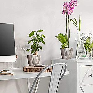 Mueller Austria Plant and Flower Pot 6/1 Set, Heavy Duty 6 Inch European Made Stylish Indoor/Outdoor Decorative Planter, for All House Plants, Flowers, Herbs, Mocha