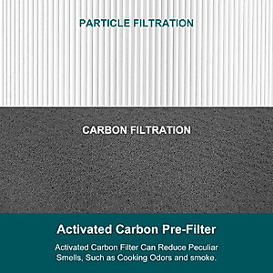 CERO D480 Replacement Filter D4 Compatible with Winix D480 Air Purifier, Item Number 1712-0100-00, 2 Grade Filter & 8 Activated Carbon Filters