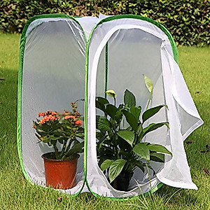 RESTCLOUD Insect and Butterfly Habitat Cage Terrarium Pop-up 23.6 Inches Tall