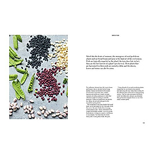 Root to Bloom: A Modern Guide to Whole Plant Use