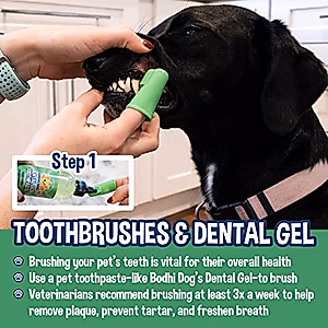 Bodhi Dog Pet Dental Gel | New Thicker Formula | Plaque Remover & Breath Freshener | Toothpaste for Dogs and Cats | Made in USA | 8oz (240ml)