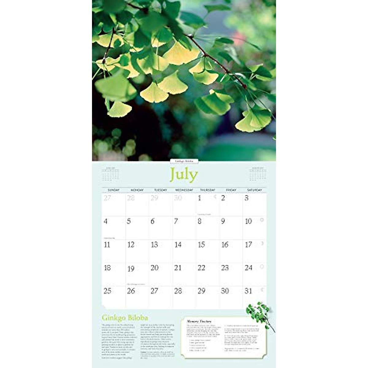 Rosemary Gladstar's Herbs Wall Calendar 2021