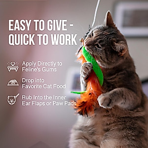 Hemp Dog Health Ease Hemp Oil for Cats: Joint and Muscle Pain Relief for Cats | Cat Arthritis Pain Relief | Cat Allergy Relief | Effective Anti Itch for Cats | Easy-to-Give Hemp Drops for Cats