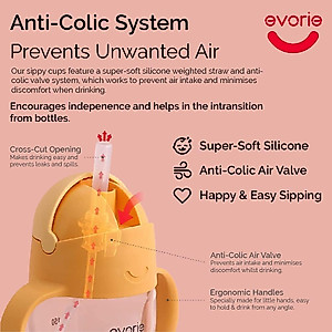 Evorie Tritan Weighted Straw Sippy Cup with Handles for Baby and Toddlers 6 months up, 7 Oz Soft Silicone Straw Infant First Training Water Bottle (Apricot)