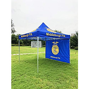 NaBai Canopy Pop Up Tent for Tradeshow 10 x 10 feet, Advertising Gazebos with Your Logo (10x10 top Canopy+one Full Wall+13kgs Aluminum Alloy Frame)