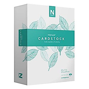 Neenah Vellum Bristol Cardstock, Lightweight, 325 Sheets, 67 lb/147 gsm, 94 Brightness, 8.5" x 11" - MORE SHEETS! (91633)