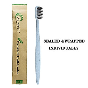 DR.PERFECT Prepasted Wheat Charcoal Toothbrush Individually Wrapped with Sealed Paper Bag Pack of 24 (24)