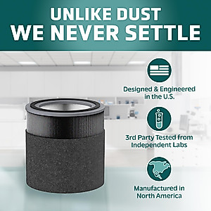 GermGuardian Filter V Smoke Clear HEPA Genuine Air Purifier Replacement Filter, Removes 99.97% of Pollutants, Smoke Toxins and Odors, for AirSafe Series and AC151, Black/Gray, FLT151SM