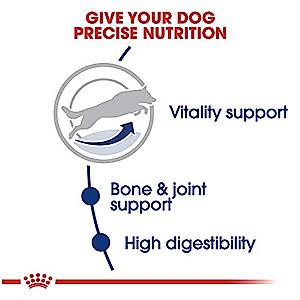 Royal Canin Large Adult 5+ Dry Dog Food for Older Dogs, 30 lb bag