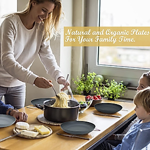 Wrova Wheat Straw Plates - 9 Inch Unbreakable Dinner Plates Set of 8 - Dishwasher & Microwave Safe Plastic Plates Reusable - Lightweight Plates for kitchen,camping (Classic Series)