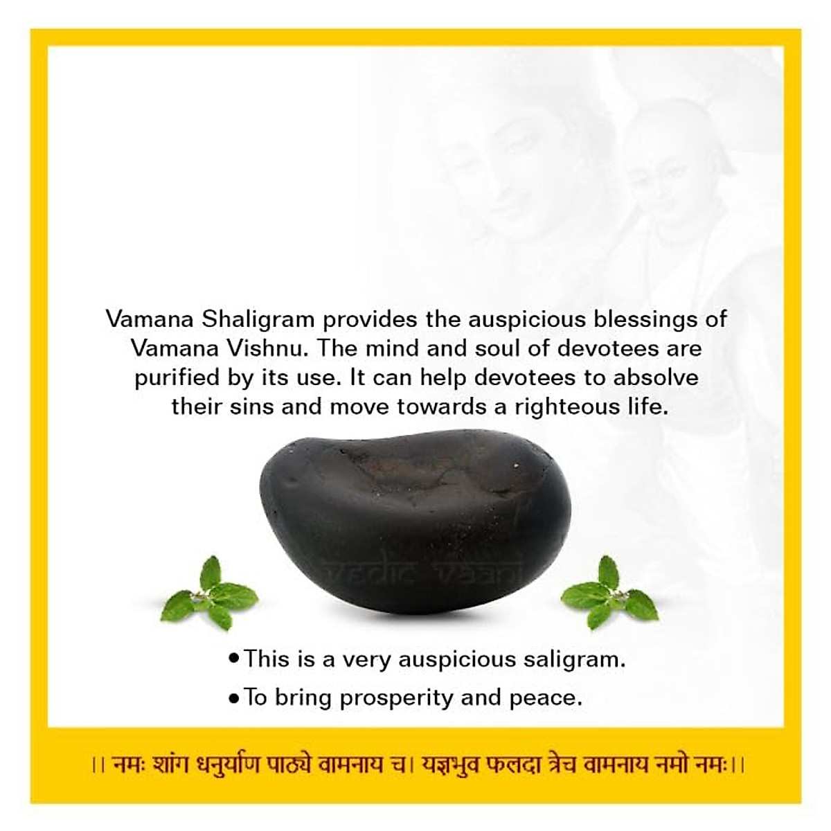 Vedic Vaani Vaman Vishnu Rupam Shaligram Shila |Shaligram Paste|Vridavan Tulsi Attar| Tulsi mala (Pack of 4)