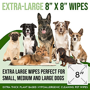 Petazy Dog Wipes for Paws and Butt Ears Eyes | Organic Pet Wipes for Dogs | Hypoallergenic Lavender Scented Dog Wipes Cleaning Deodorizing | Extra Thick Plant Based Wipes Dogs Cats Pets | 100 Count