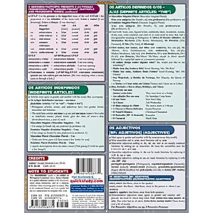 Portuguese Grammar (Quick Study Acdemic)