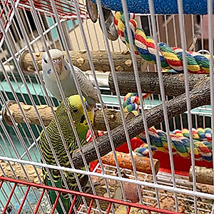 LIMIO Bird Perch 4 PCS Natural Wood Stand Parakeet Toys Bird Cage Accessories for Parrots Conure Supplies Budgie Platform