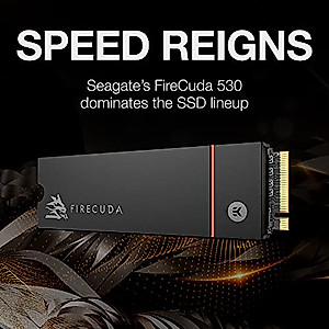 Seagate FireCuda 530 1TB Solid State Drive - M.2 PCIe Gen4 Ã—4 NVMe 1.4, PS5 Internal SSD, speeds up to 7300MB/s, 3D TLC NAND, 1275 TBW, 1.8M MTBF, Heatsink, Rescue Services (ZP1000GM3A023)