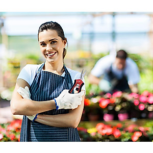 TABOR TOOLS K7A Straight Pruning Shears with Carbon Steel Blades, Florist Scissors, Multi-Tasking Garden Snips for Arranging Flowers, Trimming Plants and Harvesting Herbs, Fruits or Vegetables.