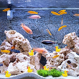 100Pcs Mini Resin Ducks, Tiny Ducks Figurines Bulk for Miniature Dollhouse Decor Accessories Garden Aquarium Potted DIY Ornament Party Toys