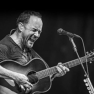 Dunlop 44P73 .73mm Nylon Standard Guitar Picks, 12-Pack