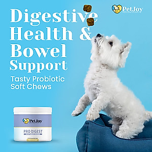 PetJoy - Balance Advanced Probiotic for Dogs | Pro Digest Soft Chews for Gut Health | DE111 | Gut Flora, Digestive Health, Occasional Diarrhea & Bowel Support | Small & Large Breeds | 60 Count