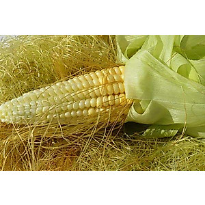 Yerbero - Te Herbal Barbas de Elote 2oz (56gr) Pelos De Elote Herbal Tea (Cornsilk Tea) Stand Up Resealable Bag Crafted By Nature100% All Natural Fresh Tea Tea | Non-GMO |Gluten-free.