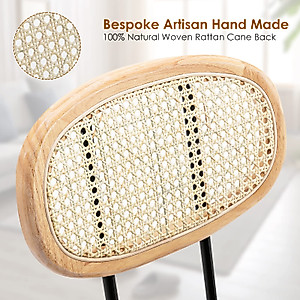 Amadi Counter Stools Rattan Back Dining Chair, Indoor Faux Leather Bar Stools Set of 2, Armless Dining Chairs with Rattan Backrest, Modern Metal Counter Height Barstools for Home Whiskey Brown,24"