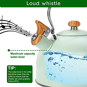 Foedo Tea Kettle Stovetop, 2.6 Quart cute teapot,loud whistle kettle, Food Grade Stainless Steel with Fold wood grain handle, Mint Green,With Anti Scald Towel