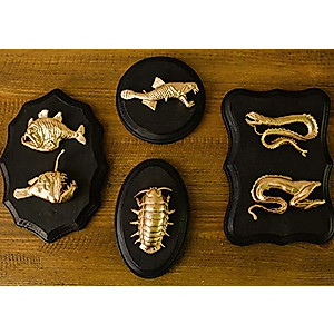 Design Master 725 Garden, 12 Ounce (Pack of 1), Flat Black