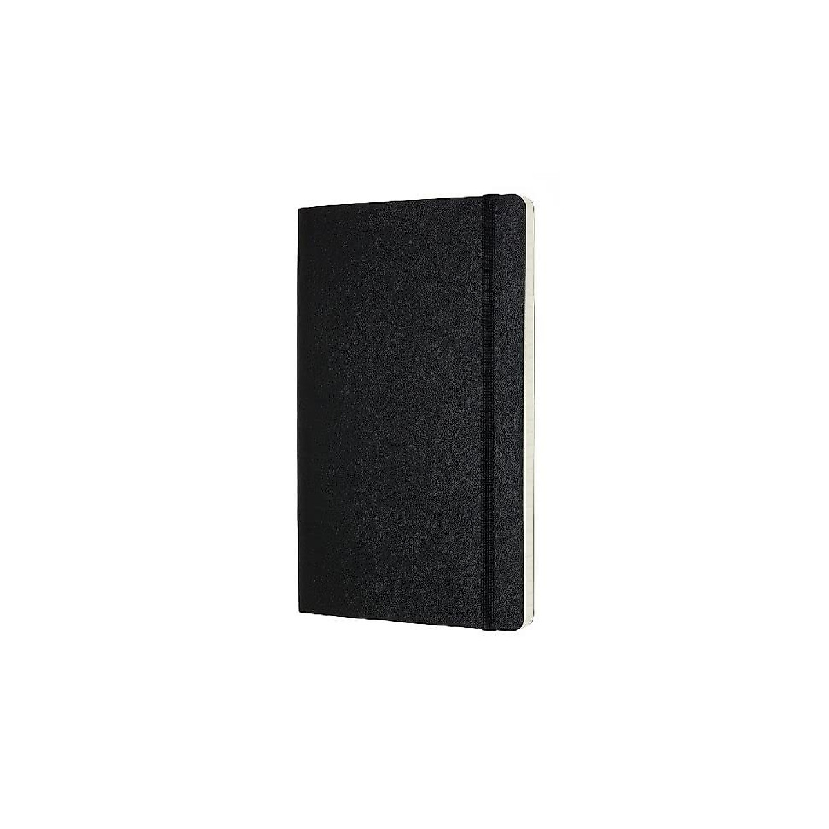 Moleskine PRO Notebook, Soft Cover, Large (5" x 8.25") Professional Project Planning, Black, 192 Pages