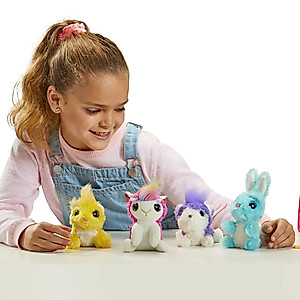 Little Live Pets | Scruff-a-Luvs | Cutie Cuts Lil Snippers Twin Pack | Cut Fur, Reveal, Groom & Love Plush Rescue pet - Styles May Vary